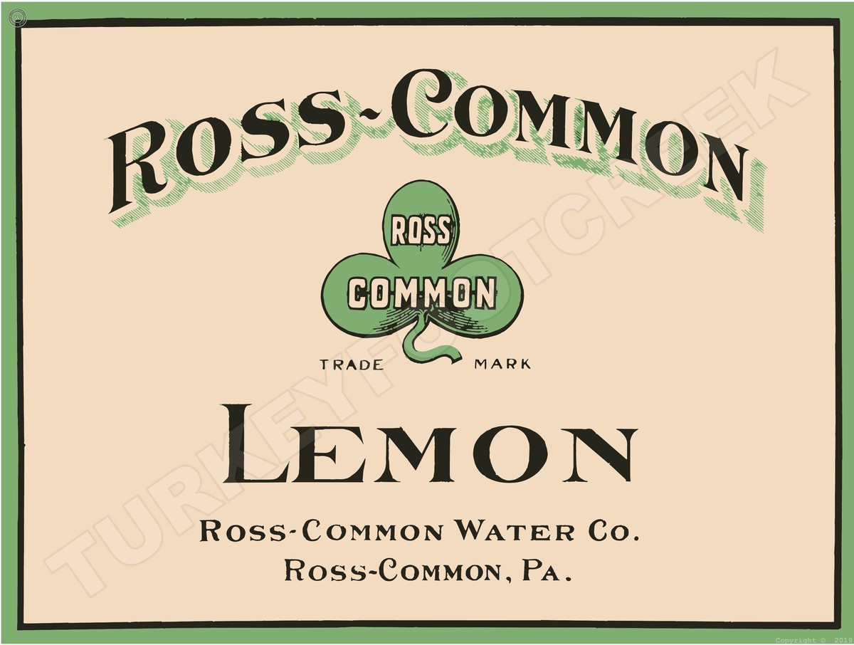 Ross Common Lemon Collectible New Metal Sign - American Ikons