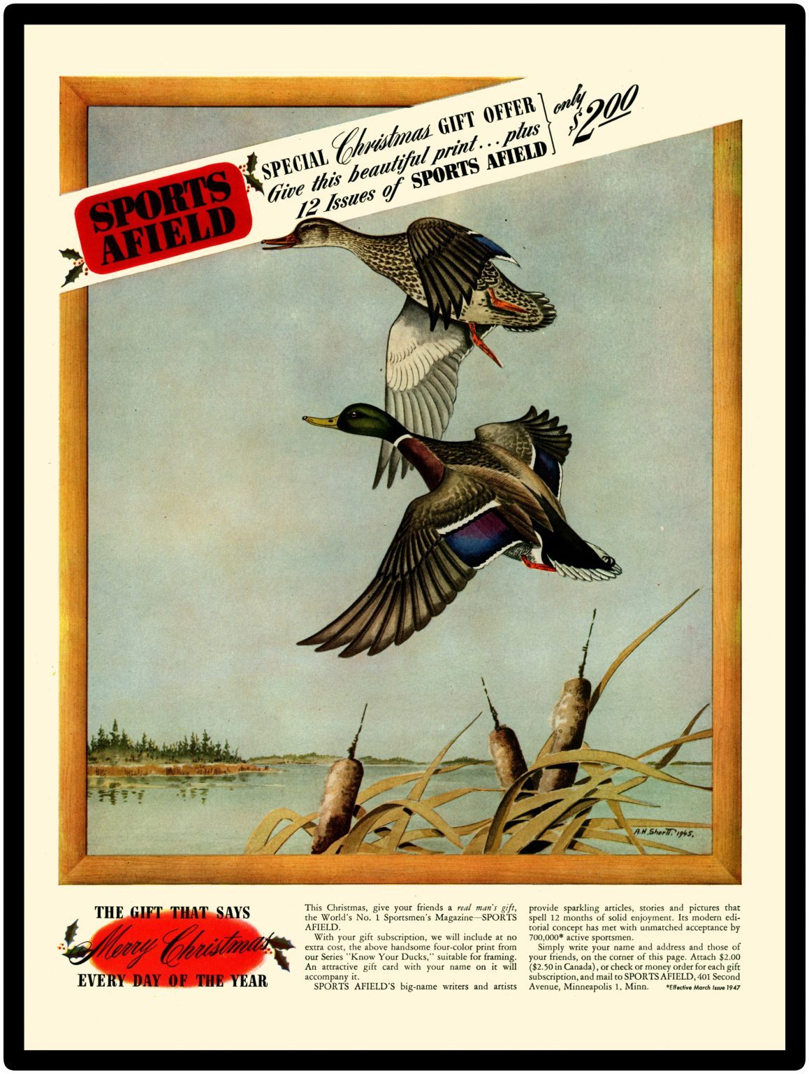 Sports Afield Duck Hunting Theme Collectible Metal Sign - American Ikons